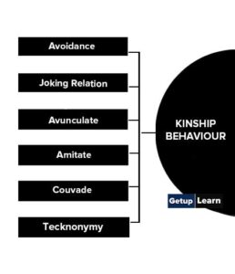 What is Kinship? Types of Kinship Groups, Terminology, Behaviour