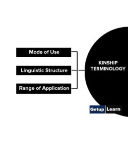 What is Kinship? Types of Kinship Groups, Terminology, Behaviour