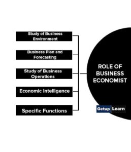 Role of Business Economist, Responsibilities, Disciplines