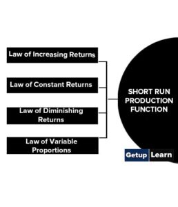 What is Production Function? Types Laws, Importance, Assumptions, Features