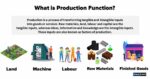What is Production Function? Types Laws, Importance, Assumptions, Features