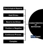 What is Motivation? Definition, Nature, Importance, Characteristics, Types