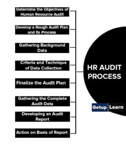 What is Human Resource Auditing? Definitions, Features, Objectives, Scope, Process