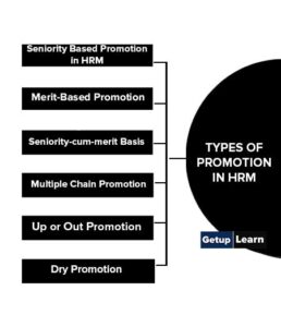 What is Promotion? Definitions, Meaning, Purposes, Principles, Types