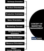 What is Marketing Management? Definitions, Concepts, Functions ...