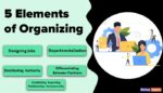 5 Elements of Organizing in Management | Getuplearn