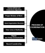 What is Coordinating? 4Importance, Principles, Process Types