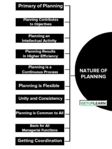 Nature of Planning