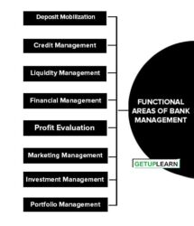 What is Bank Management? 9 Objectives and Functions