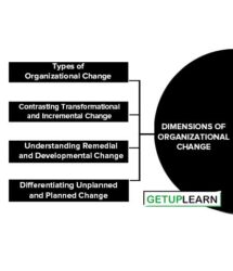 7 Types of Organizational Change: Dimensions, Causes, Forces for Change