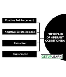 What is Operant Conditioning? 4 Principles, Classical