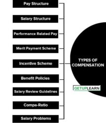 What is Compensation? Theories, 4 Methods, Types, Factors