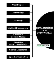 What is Team Intervention? Team Building, Characteristics, Processes