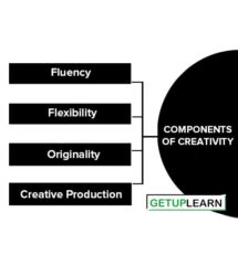 What is Creativity? Definition, Elements, Components, Creating Climate