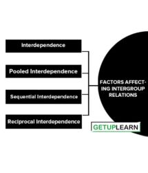 What are Intergroup Relations? 4 Major Factors