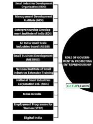 10 Role of Government in Promoting Entrepreneurship
